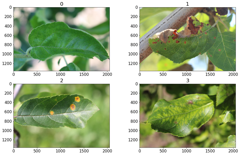 GitHub - kdy1493/DeepLearning-CNN_PlantPathology: aa