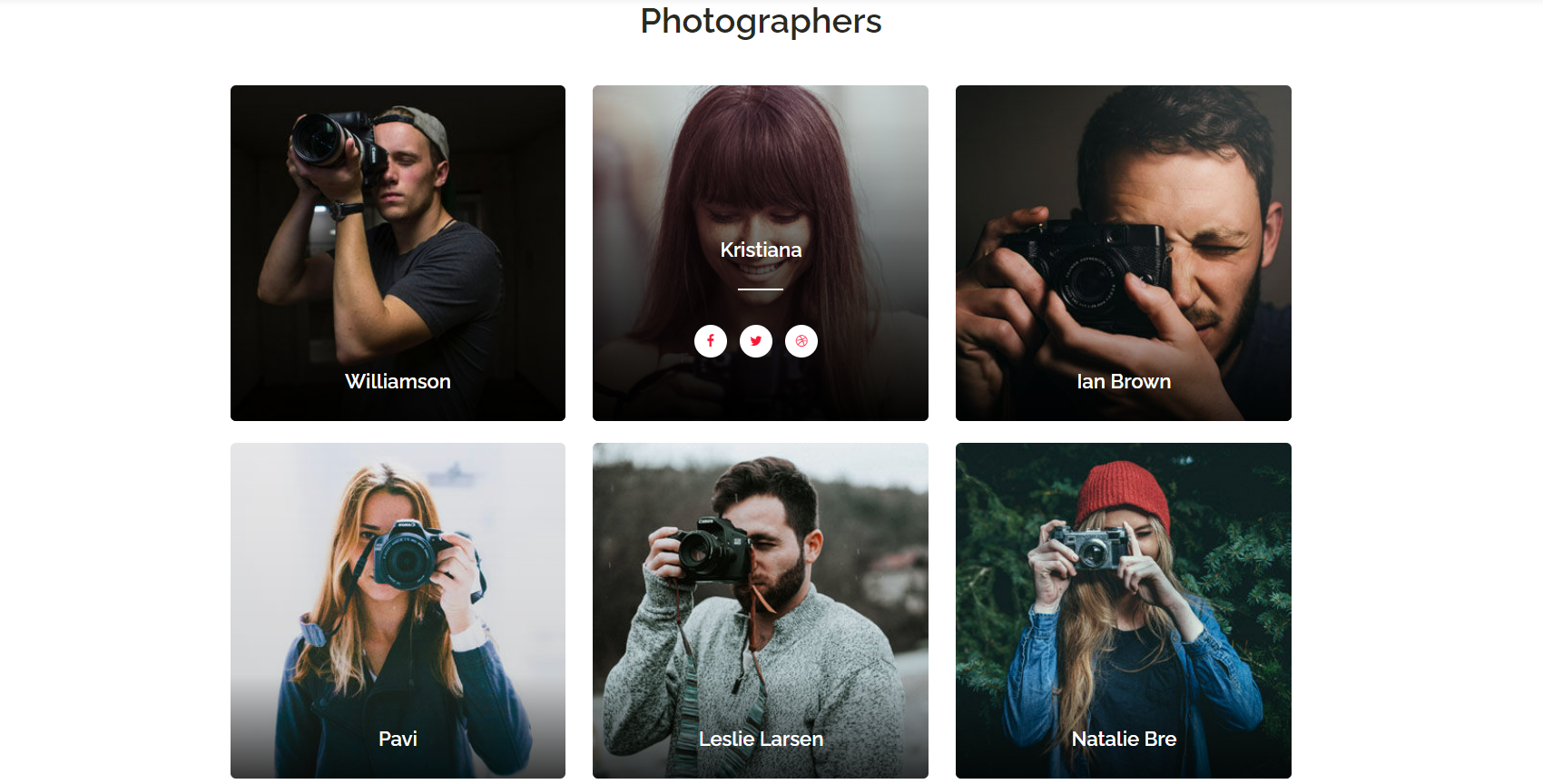 GitHub - M-Revanth-Reddy-123/photogallery: This is web site of stylish photogallery designed by ...