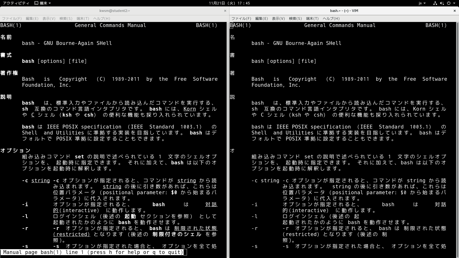Man Doesnt Print Any Characters Following A Bold Multibyte Character · Issue 2363 · Vimvim