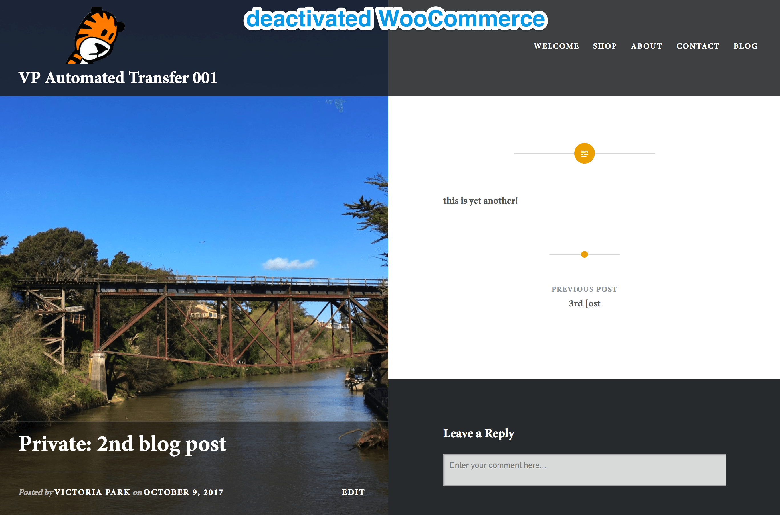 Dyad 2: WooCommerce moves entry header above content · Issue #156 · Automattic/themes · GitHub