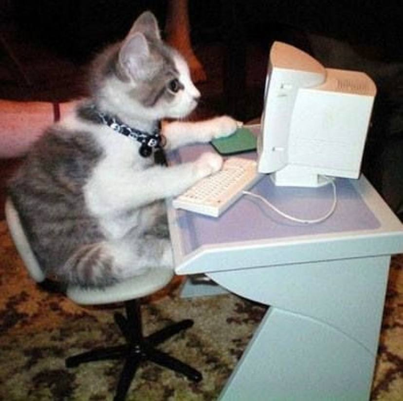 GitHub - lananek/operationSystem: очень хочу что-то близкое к 7, но приму даже тяжкий груз 8