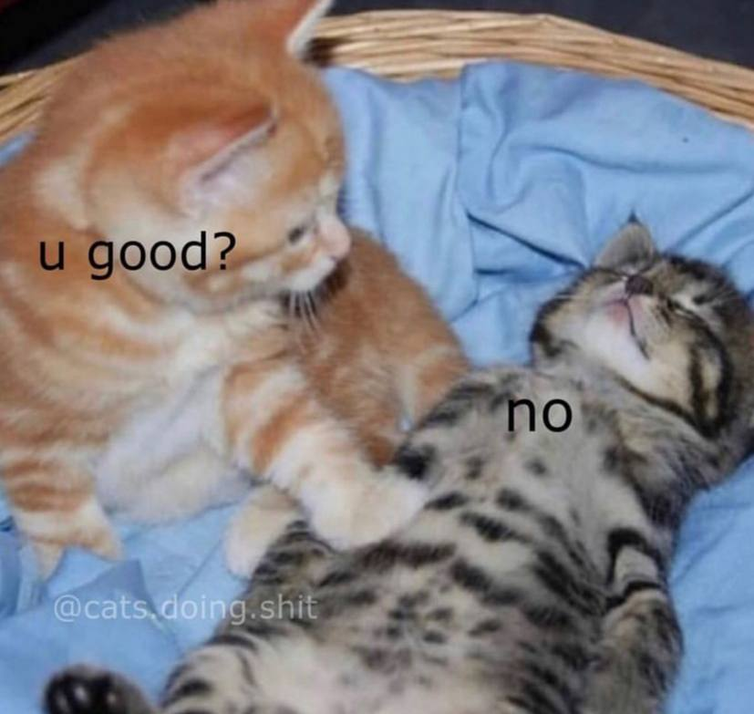 GitHub - lananek/operationSystem: очень хочу что-то близкое к 7, но приму даже тяжкий груз 8