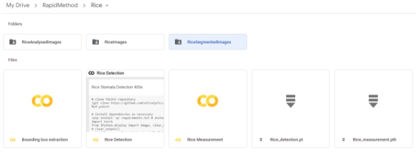 Github Rapidmethodstomata Rapidmethodstomata