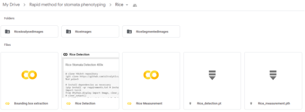 GitHub - rapidmethodstomata/rapidmethodstomata