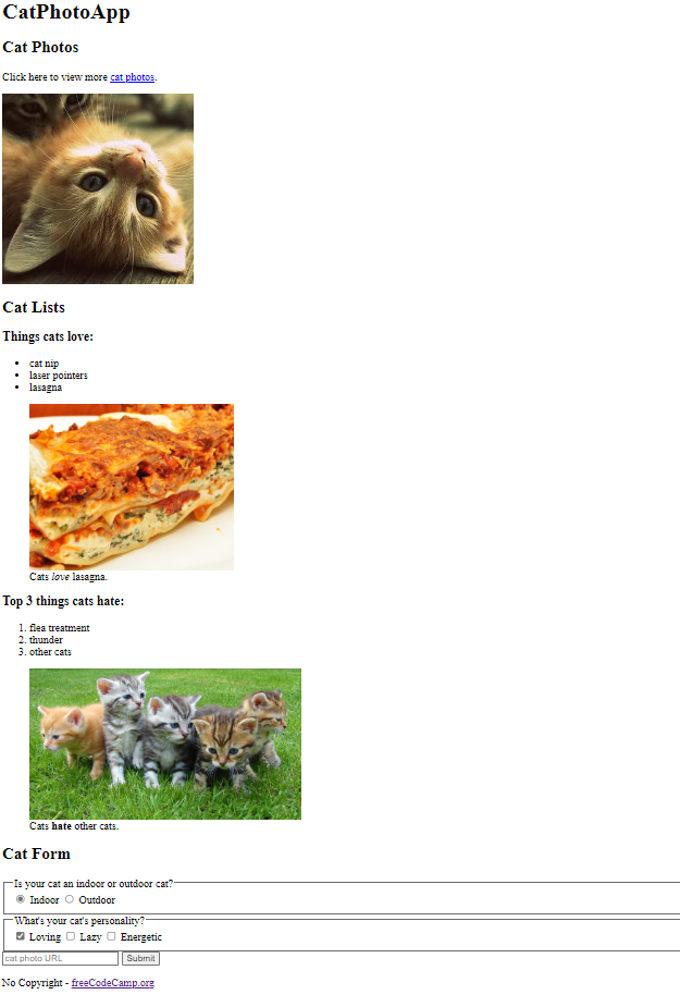 Github Devamrh Fcc Catphotoapp This Is The First Challenge Of Freecodecamp S To Build A Cat