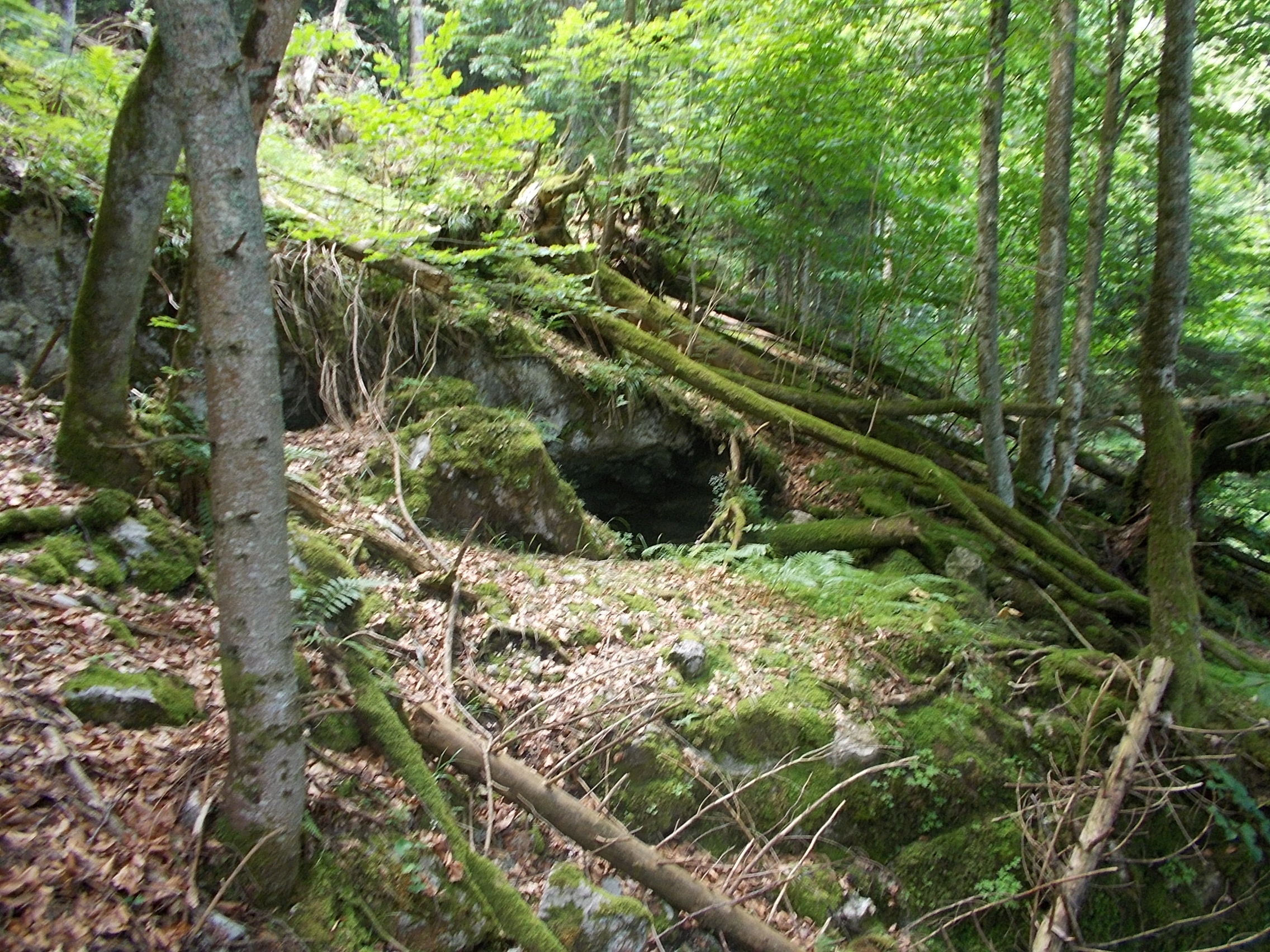 [DOCUMENT Edit] Error when you want to modify a document during the validation process · Issue ...