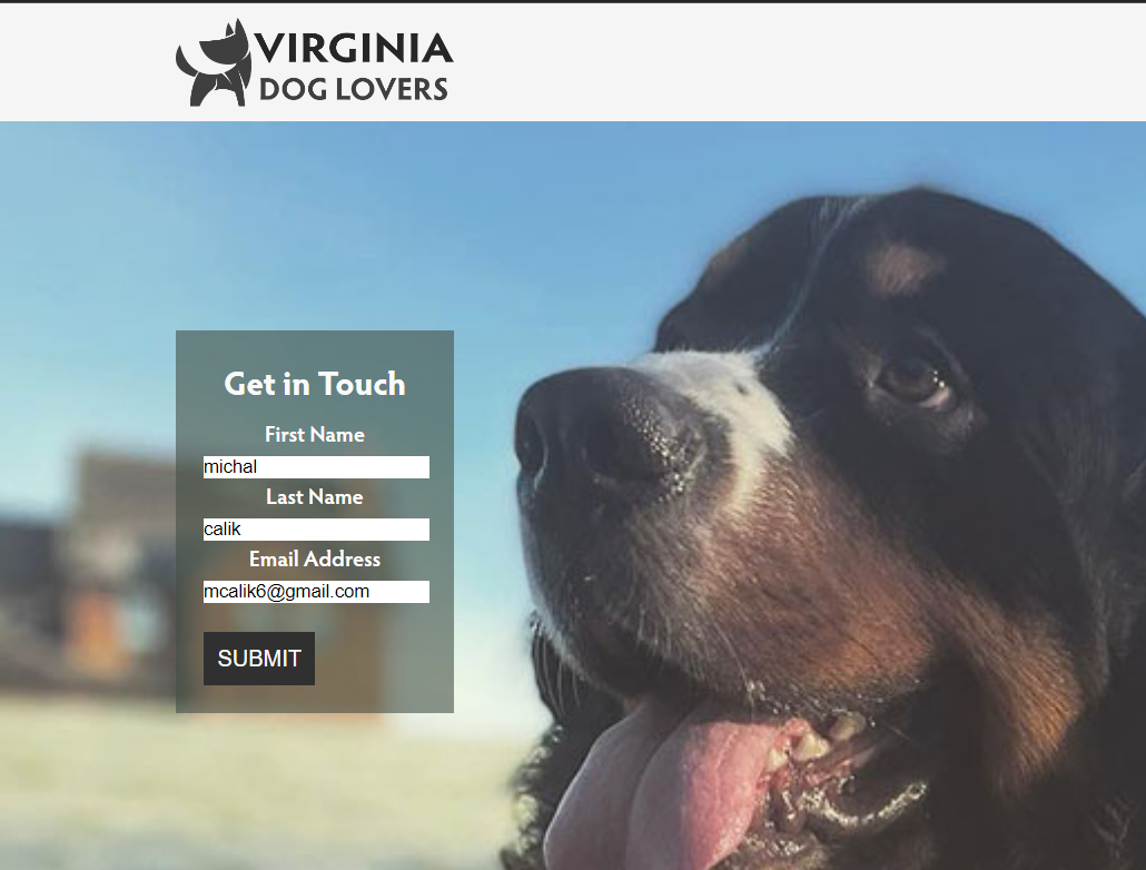 GitHub - mcalik6/Portfolio1-HTML-CSS