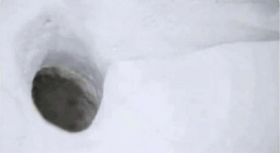 JulienQ1 (Julien) · GitHub