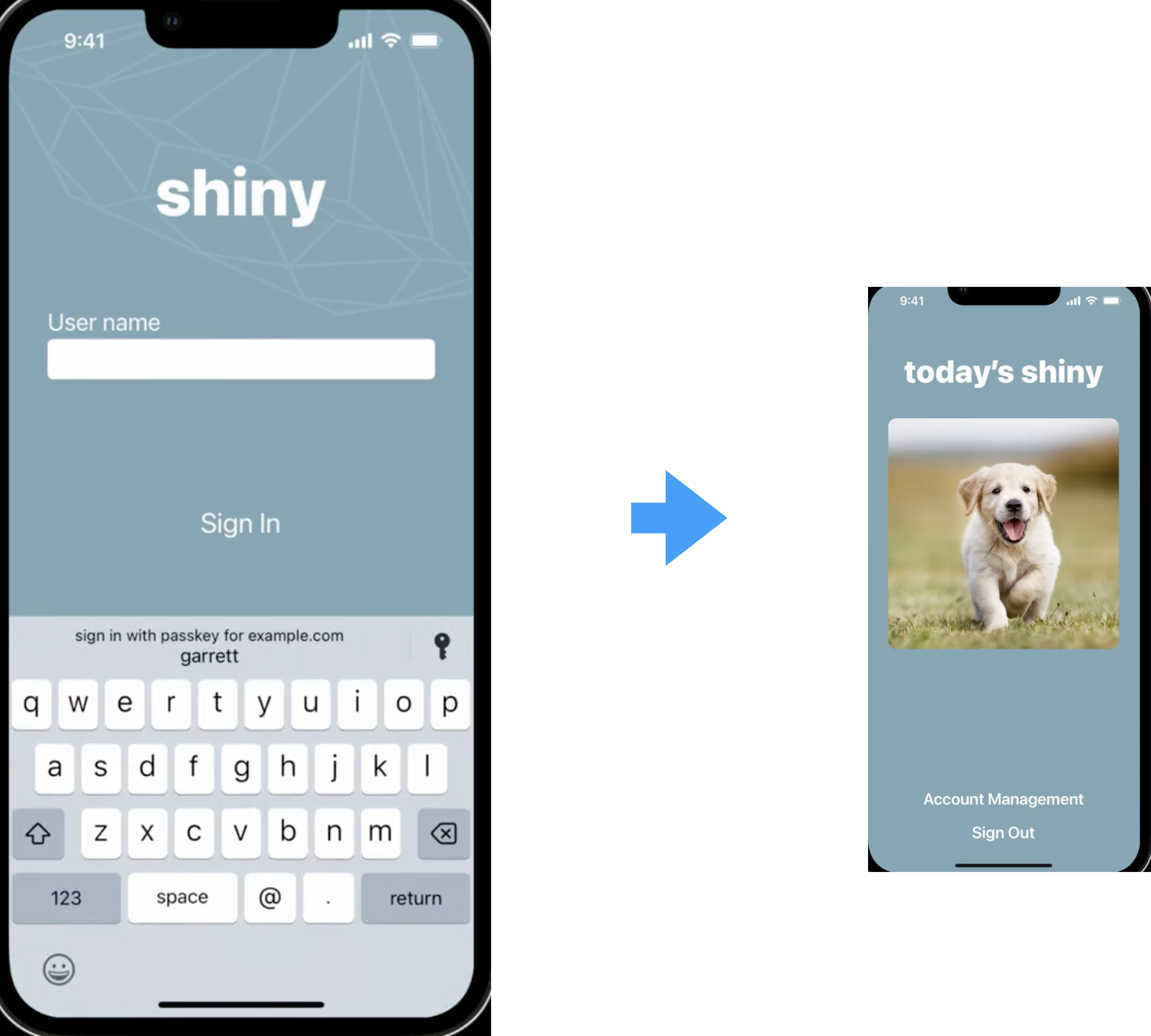 まだパスワードで認証してるの？Passkeysを使ってパスワードを駆逐してやる！ #iOS - Qiita
