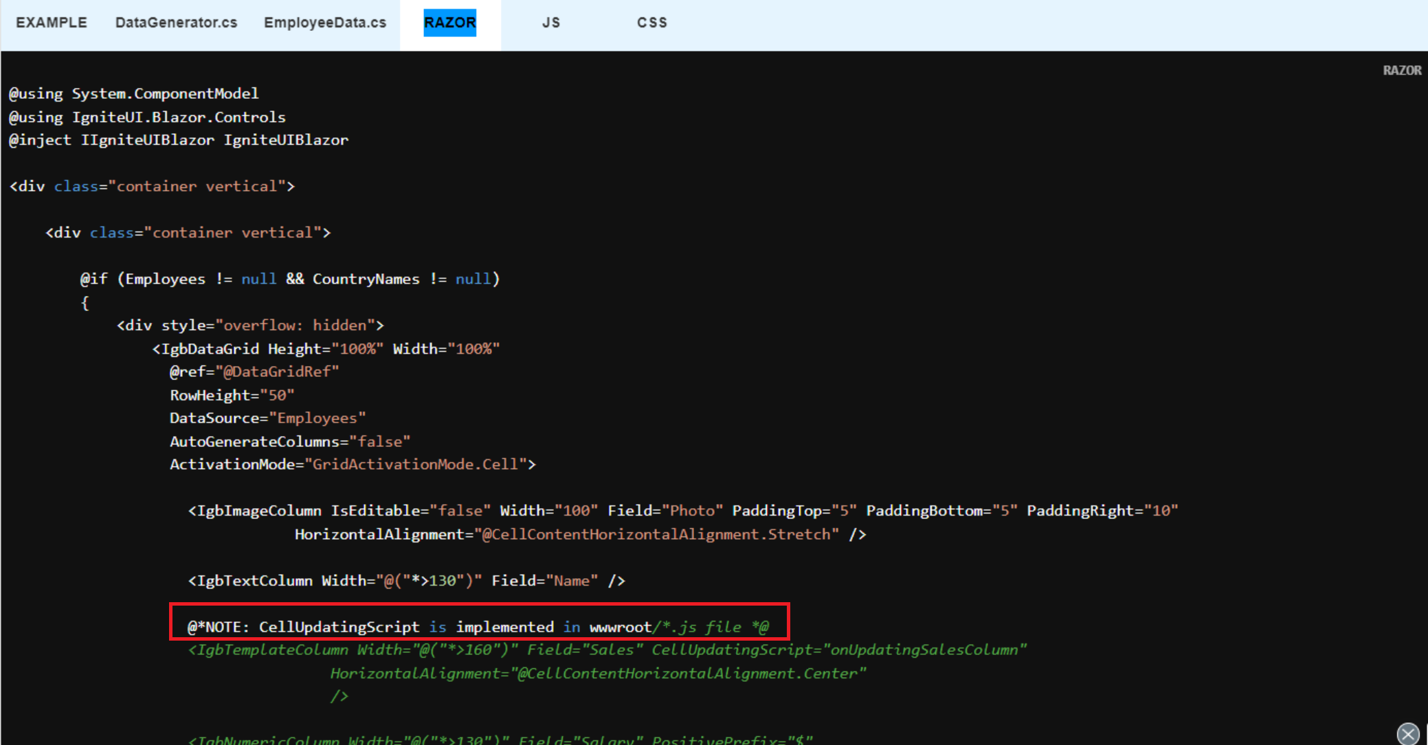 Code Viewer show code incorrectly in Razor tab · Issue #381 · IgniteUI/igniteui-docfx-template ...