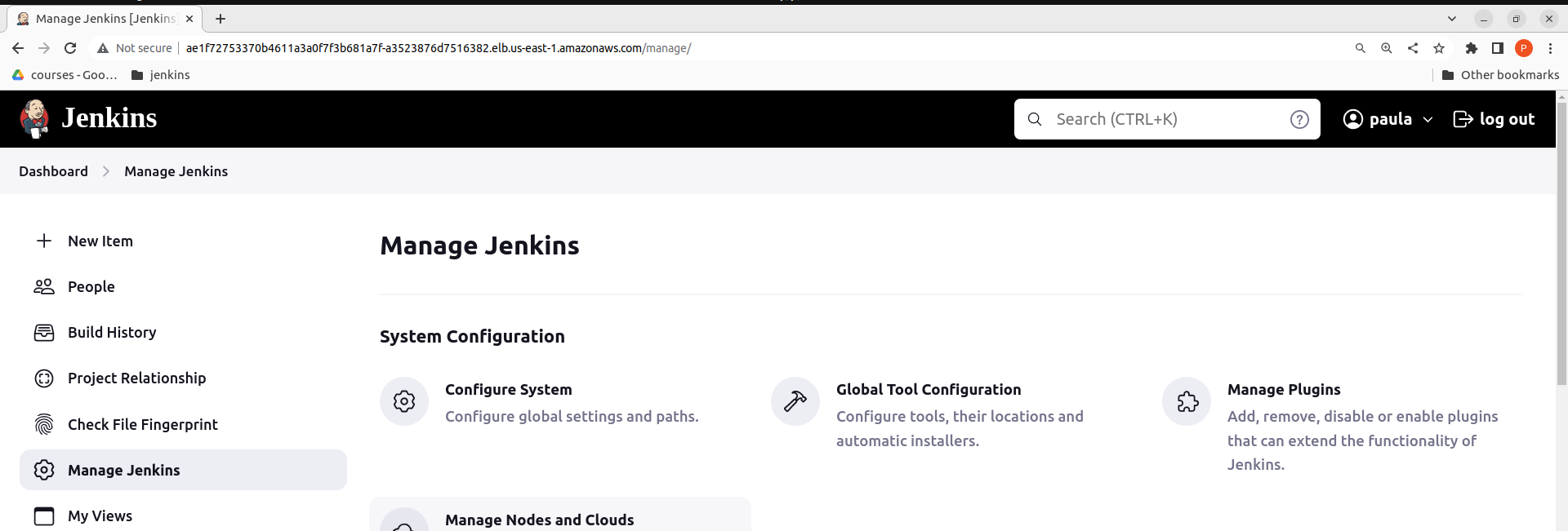 GitHub - paulahakeem/ITI_DEVOPS_FINAL_PROJECT