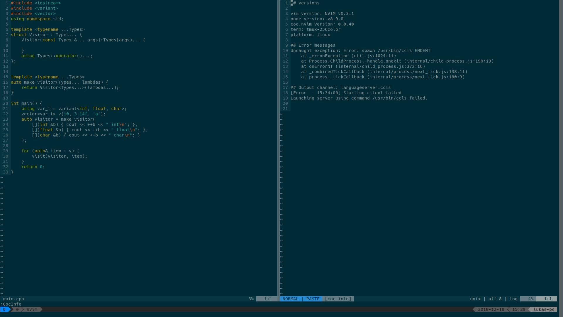coc.nvim + ccls uncaught exception · Issue #279 · neoclide/coc.nvim · GitHub