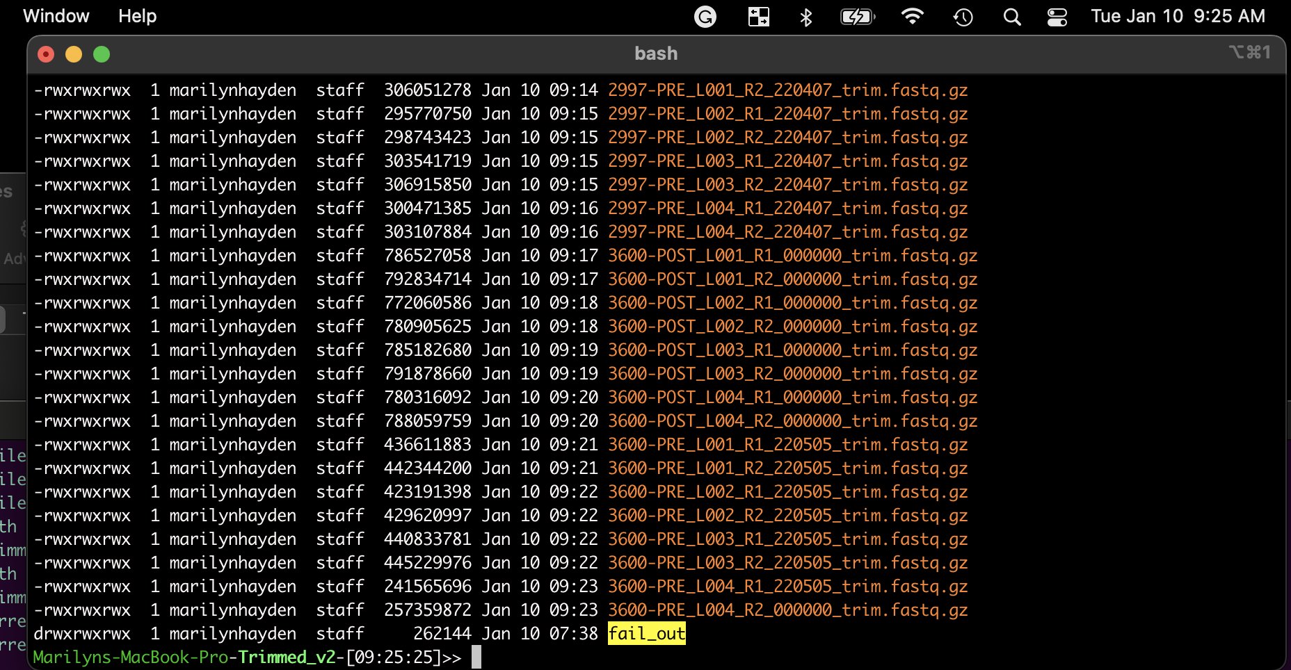 v0.23.2 hanging/deadlocked using Mac Ventura and Montery · Issue #455 · OpenGene/fastp · GitHub