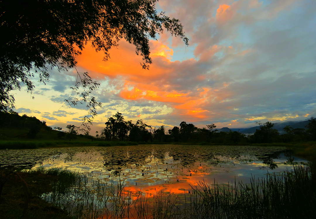 GitHub - jefdavgar/Tingua_Project