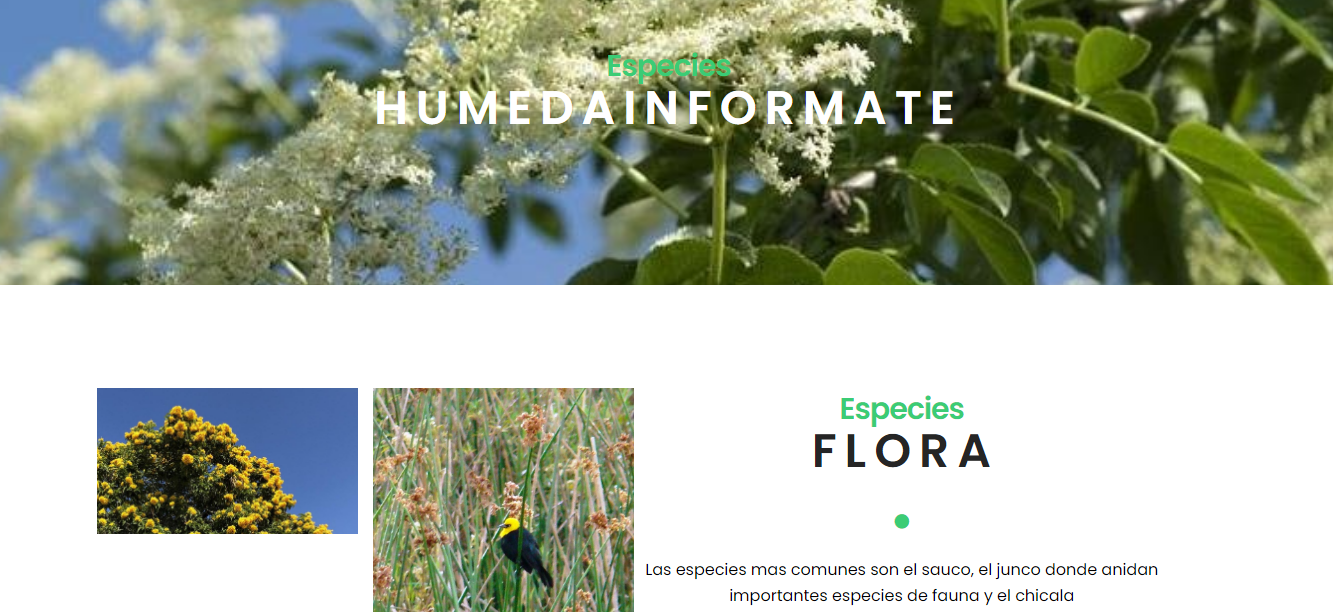 GitHub - Mafesita23/humedales: web tributo