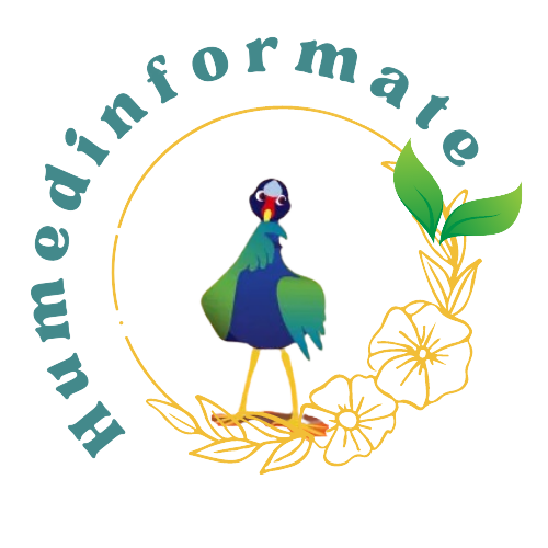 GitHub - Mafesita23/APIhumedales