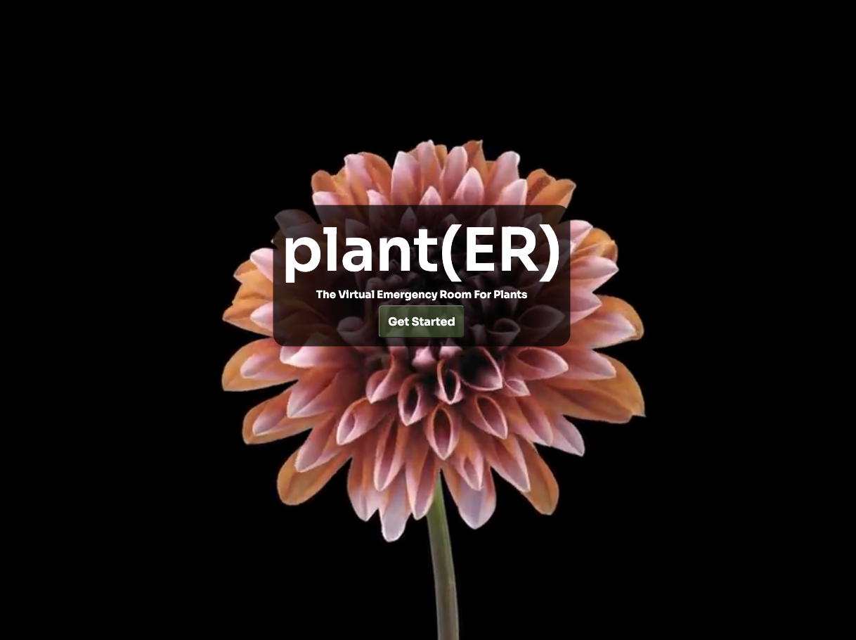 GitHub - taariqelliott/project-3-planter