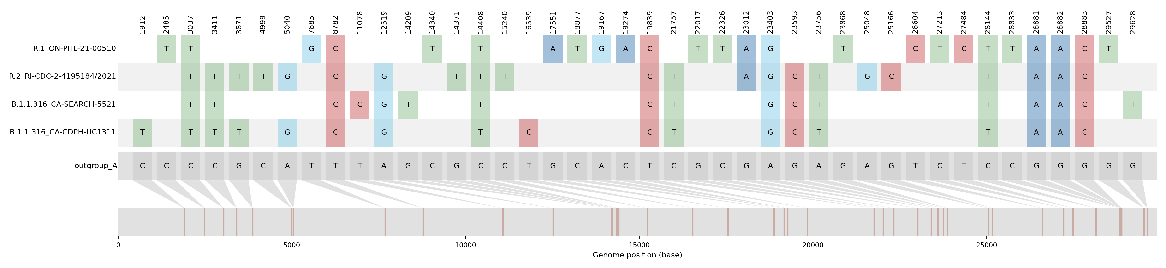B.1.1.316 and S:E484K · Issue #66 · cov-lineages/pango-designation · GitHub