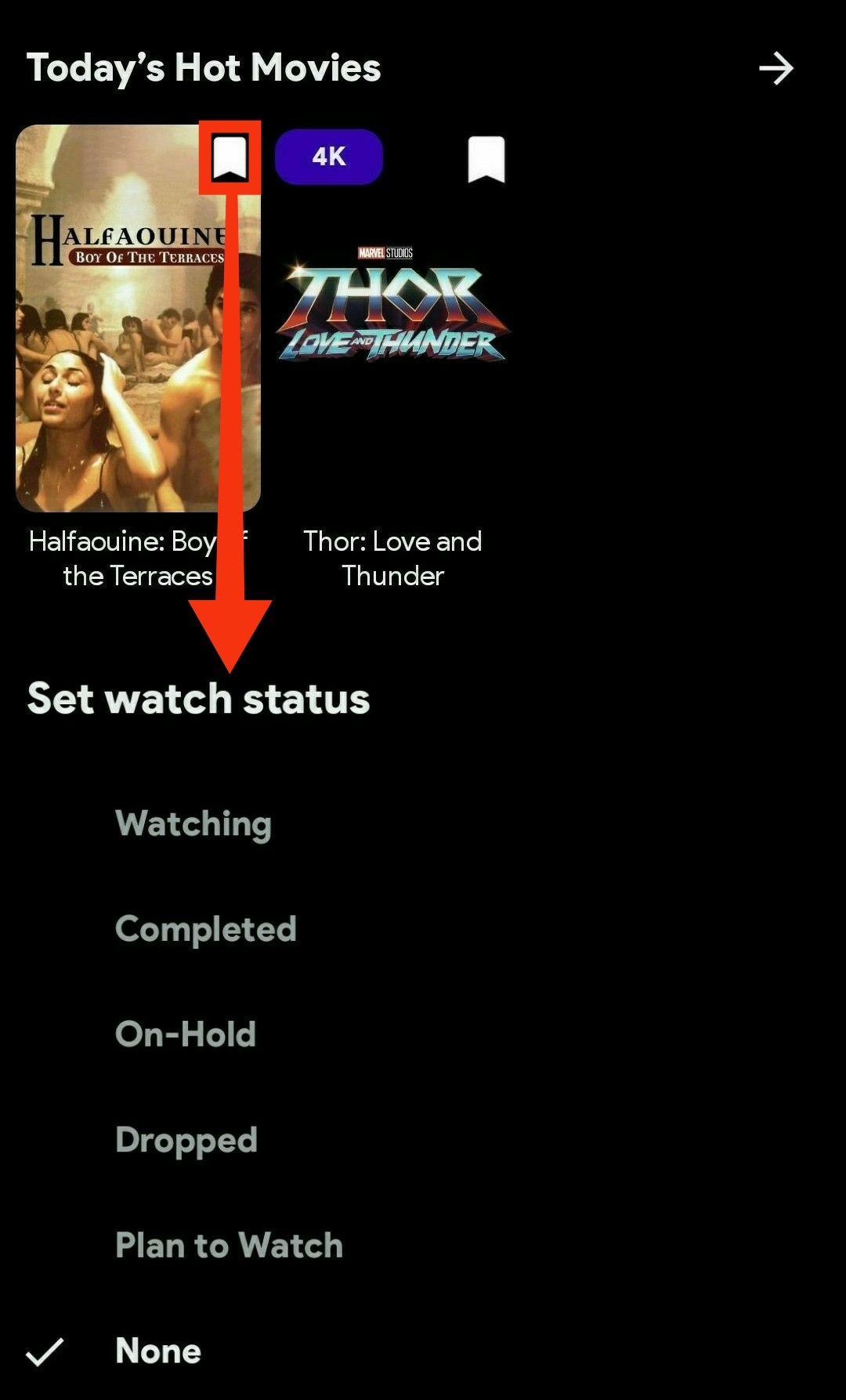 Add Bookmark feature (Icon) for all thumbnail · Issue #189 · recloudstream/cloudstream · GitHub