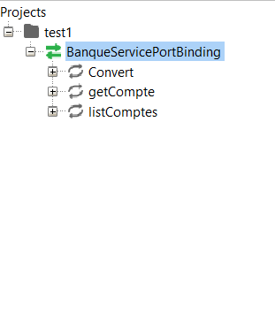 GitHub - SanaeBelfrouh/TP2_WEB_SERVICE