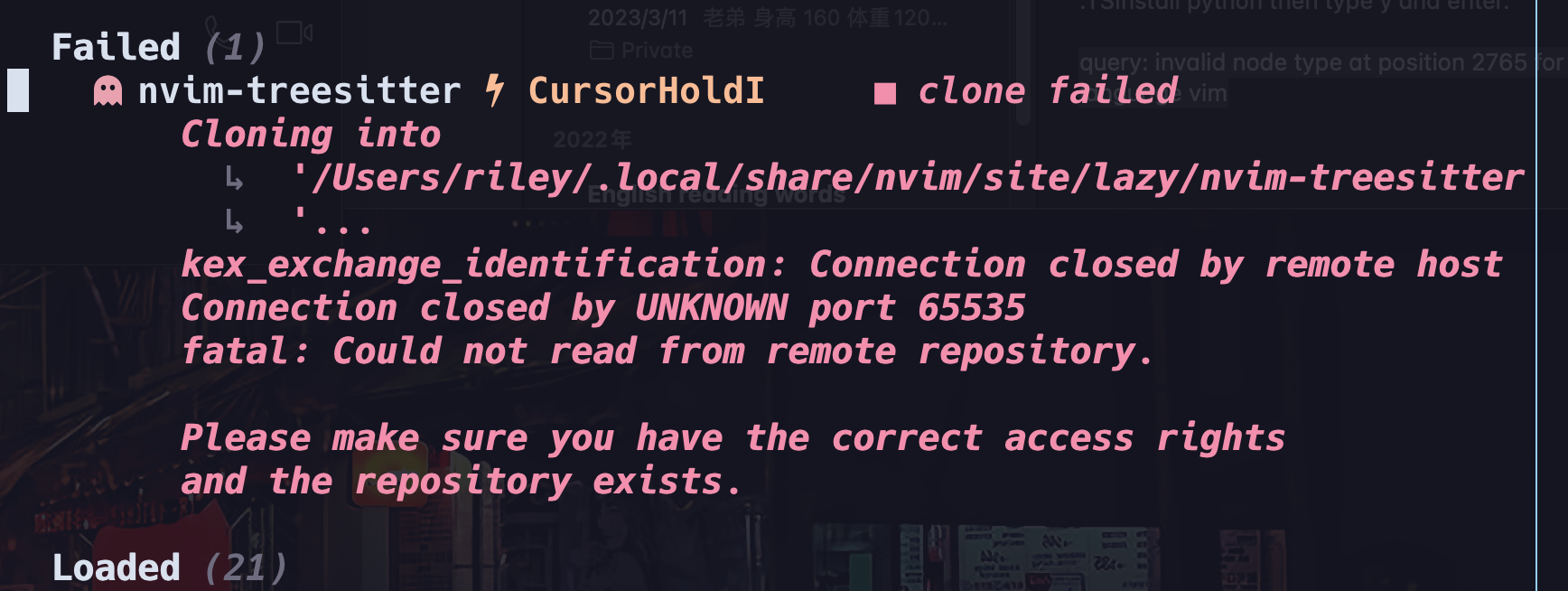 ERROR: vim(highlights): · Issue #590 · ayamir/nvimdots · GitHub