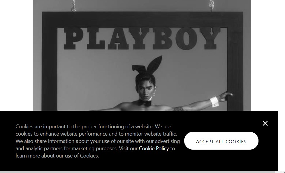 playboy.com Cookie Notice (Fanboy Cookie / Annoyance) · Issue #9318 · easylist/easylist · GitHub