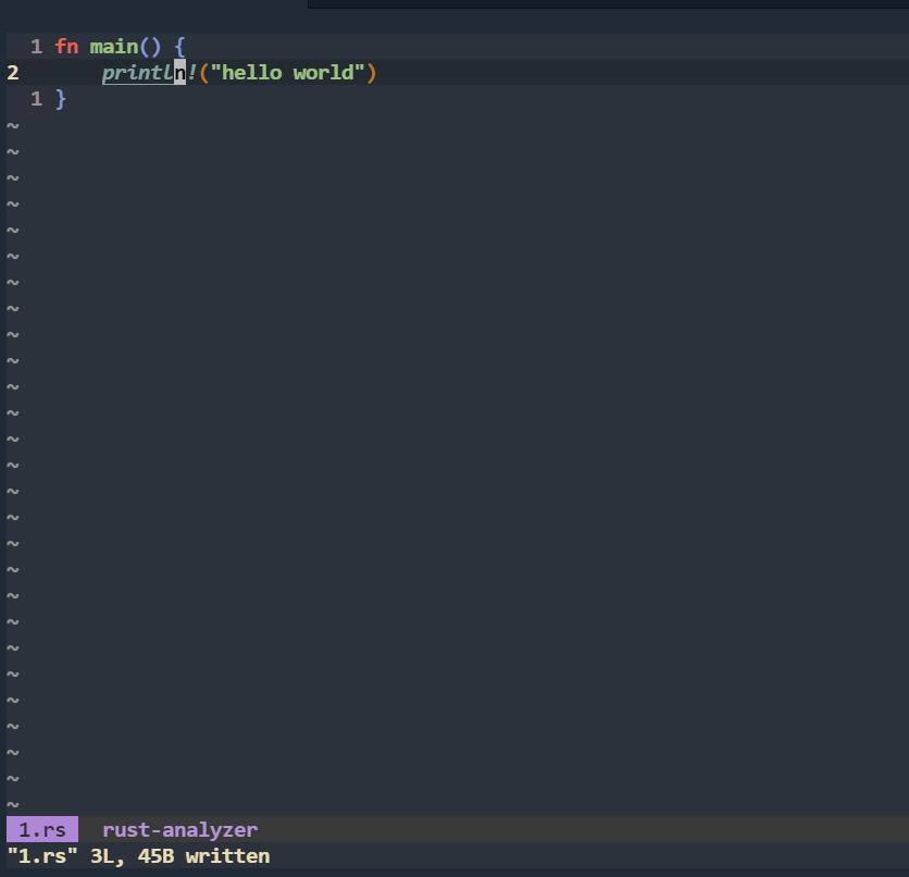 add the ruby and rust to the init.vim and try to press to r to run ... it just save and can not ...