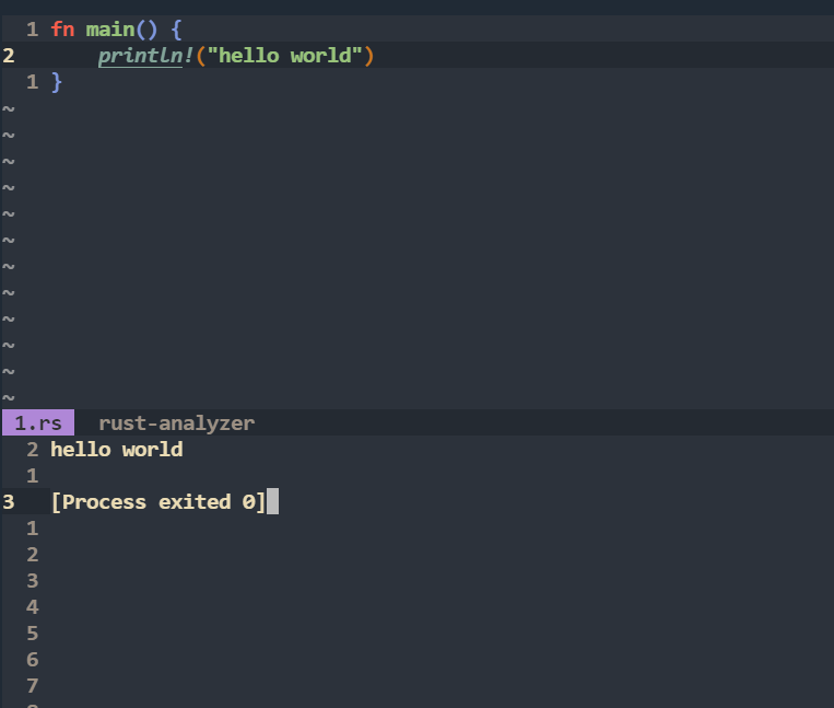 add the ruby and rust to the init.vim and try to press to r to run ... it just save and can not ...