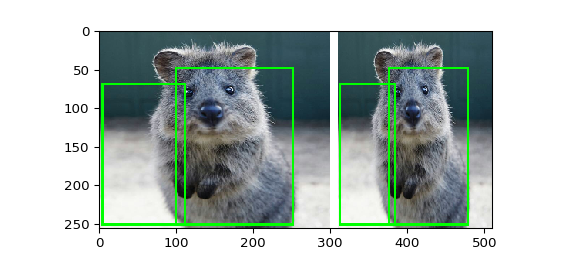 Wrong bounding box · Issue #372 · aleju/imgaug · GitHub