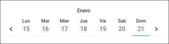 Week View · Issue 717 · Charliekassel Vuejs Datepicker · Github