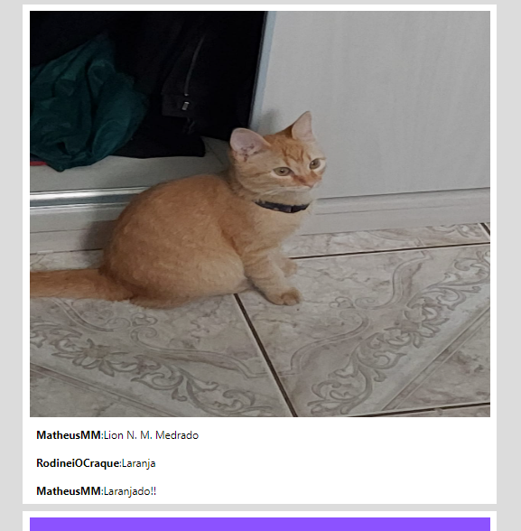 GitHub - MedradoM/CloneInstagram_React