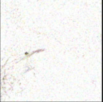 How to put Image not noise as input of Gaussian Diffusiuon Network ...