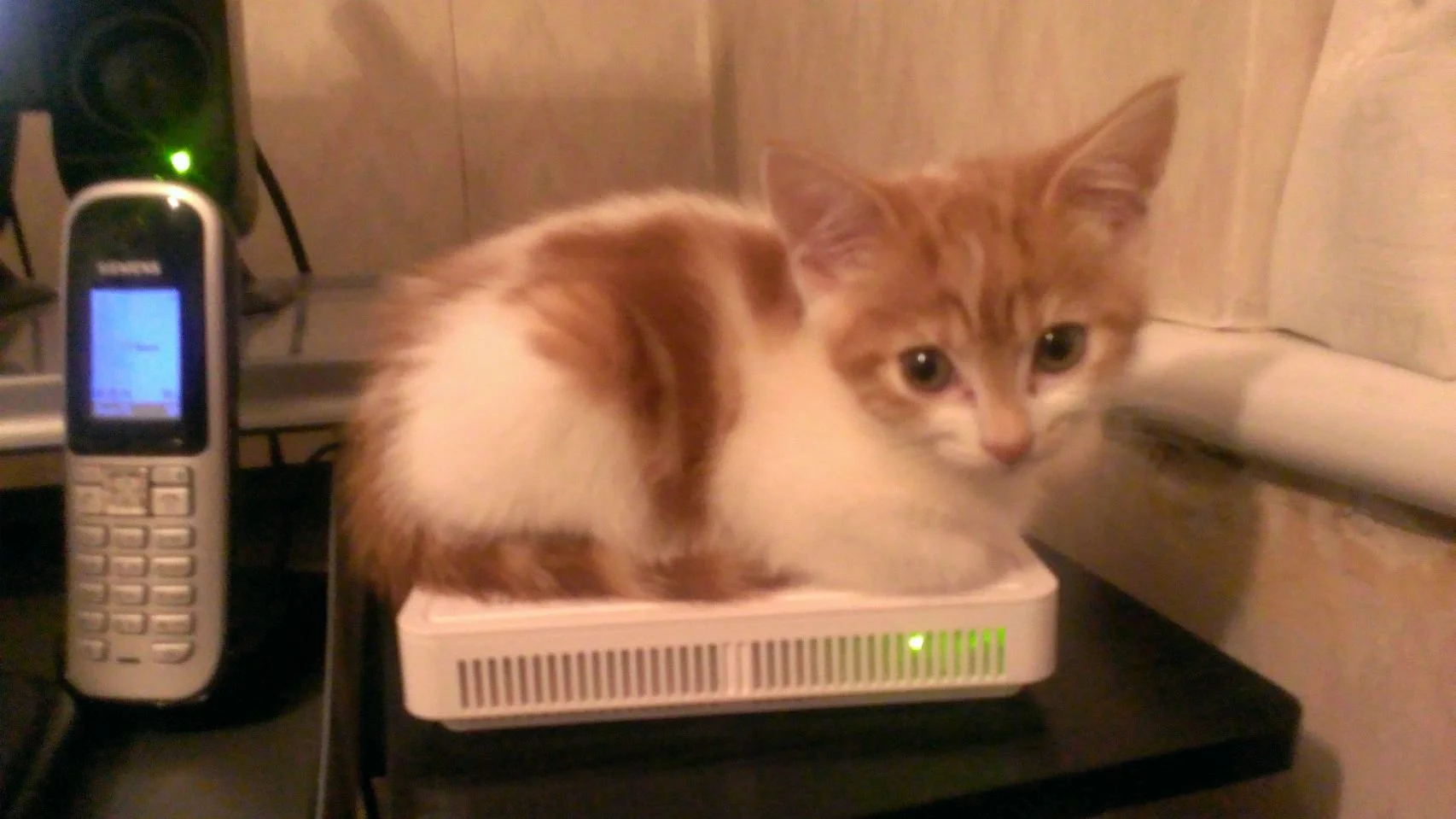 BHASVIC Computer Science · GitHub