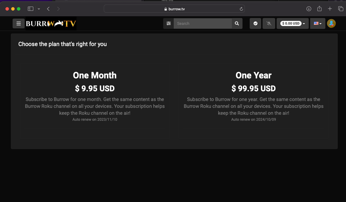 Bug Tested And Working Flawlessly Before Now The Day Before Launch Subscription Fails 