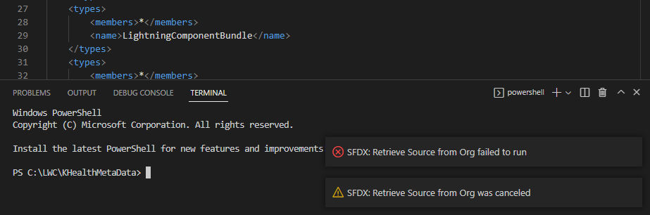 Cannot Read Properties Of Undefined Reading Type · Issue 4527 · Forcedotcom Salesforcedx