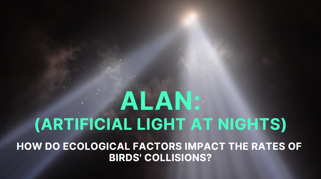 GitHub - marta-miguel/Birds-building-collisions: Project that aimed at developing hypothesis ...