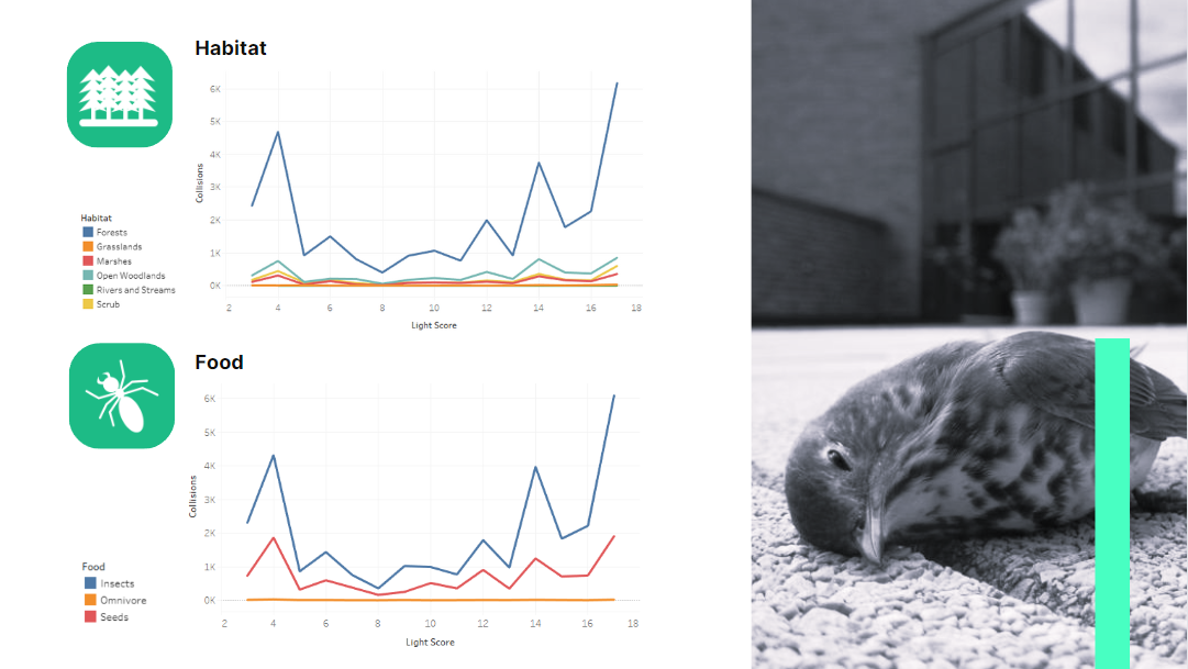 GitHub - marta-miguel/Birds-building-collisions: Project that aimed at developing hypothesis ...