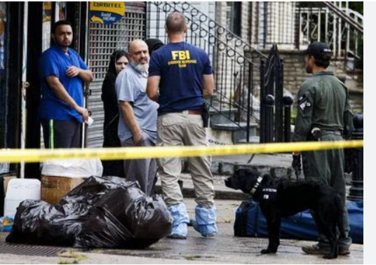 GitHub - jel-garay/proyecto-Apis