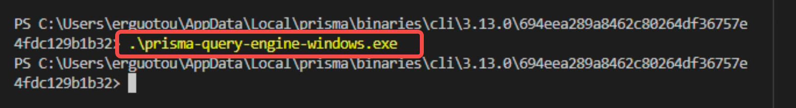 run introspection-engine.exe directly exit · prisma prisma · Discussion #17985 · GitHub