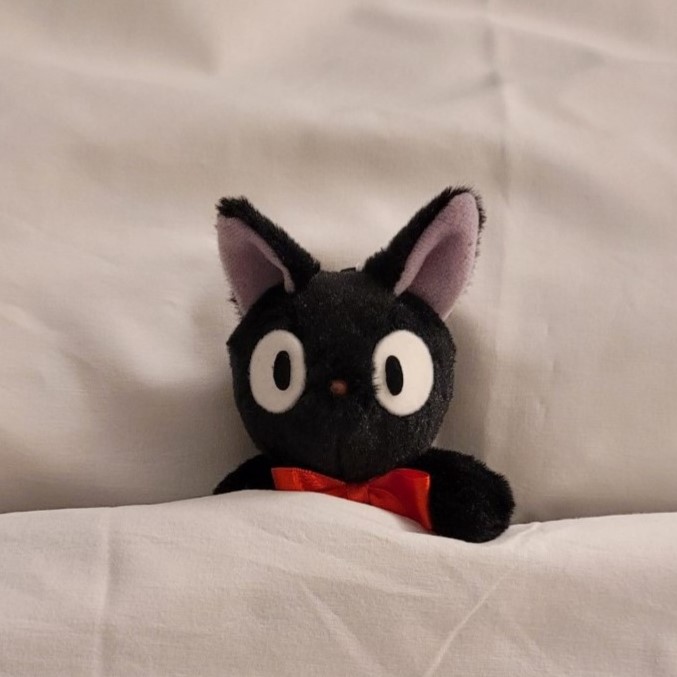 GitHub - GDSC-SWU/2023-AI-ML-study: AI/ML 실습 코드