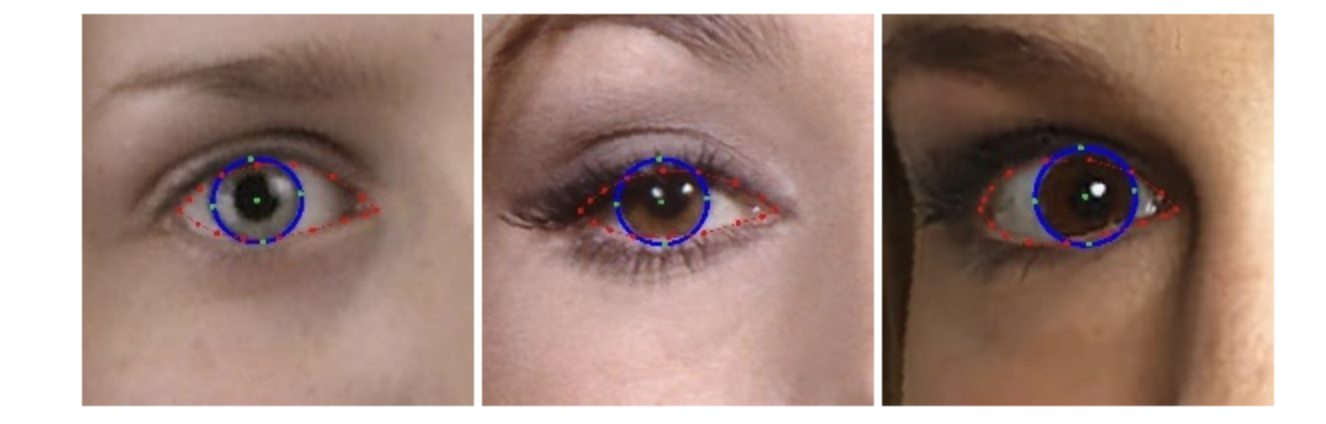 How to get iris and refined eye landmark coordinates from Mediapipe ...