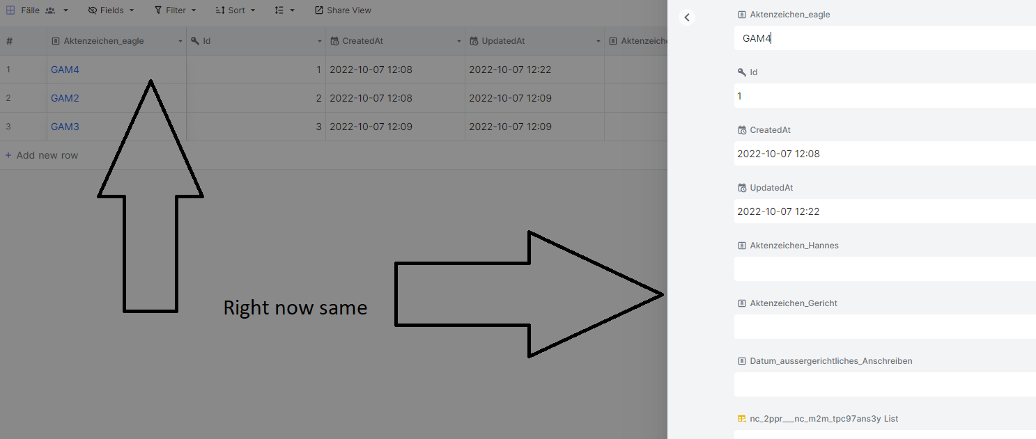 🔦 Feature: Possibility to edit all fields when expanded · Issue #5416 · nocodb/nocodb · GitHub
