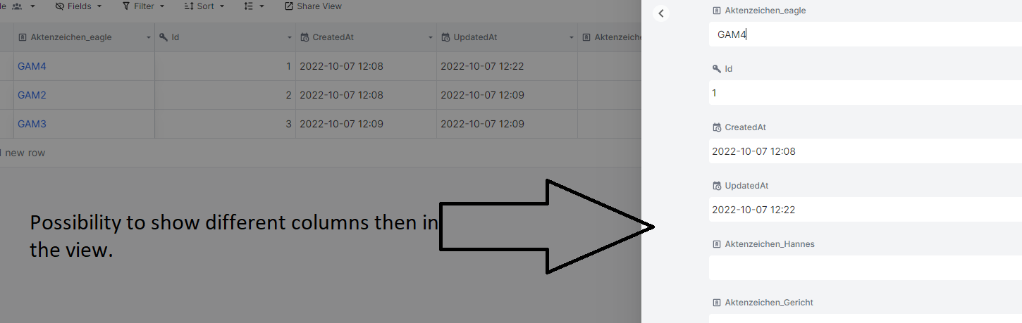 🔦 Feature Possibility To Edit All Fields When Expanded · Issue 5416 · Nocodbnocodb · Github