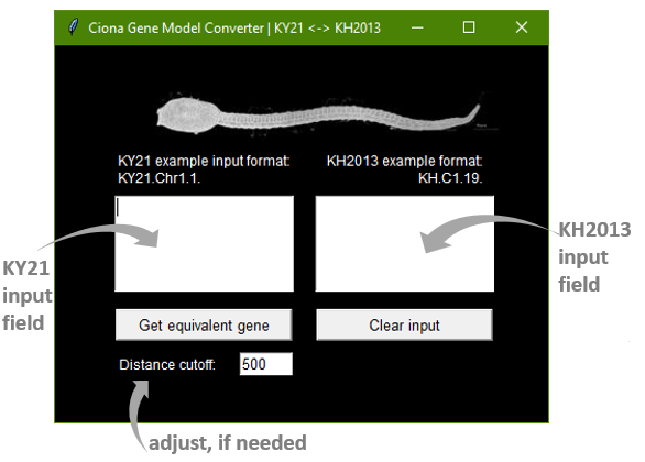 GitHub - katarzynampiekarz/ciona_gene_model_converter: This tool ...