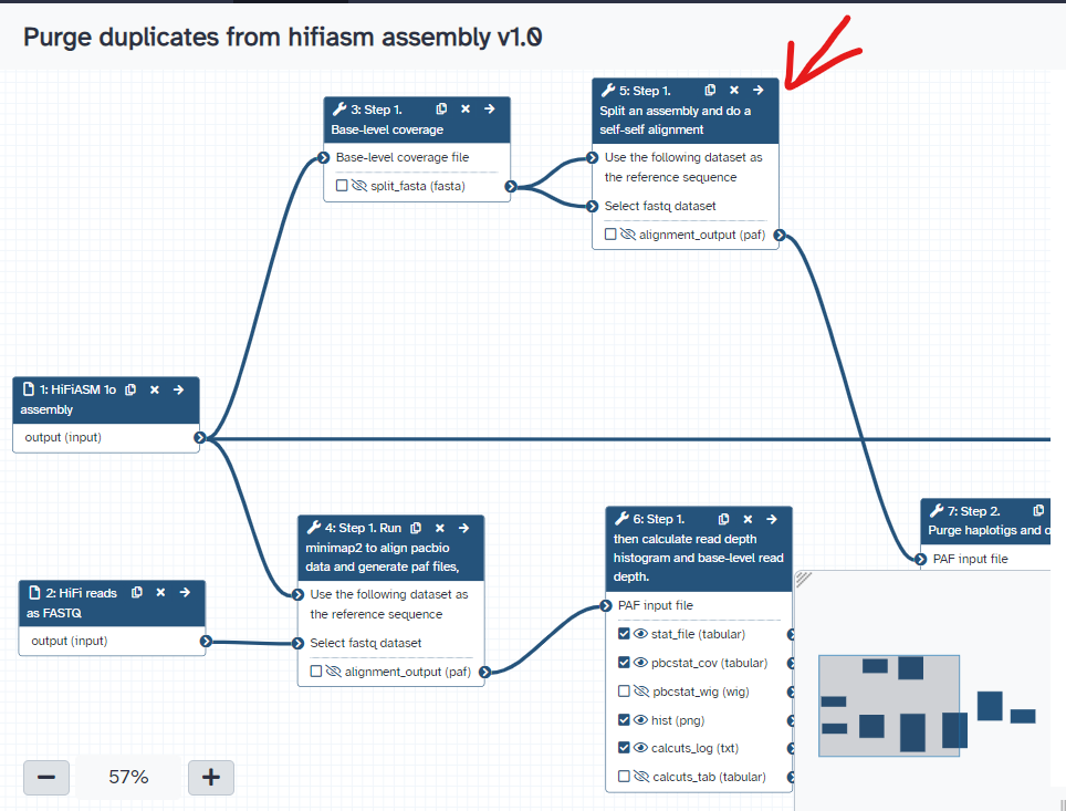 Failed minimap self-self alignment in 'Purge duplicate from hifiasm assembly' workflow · Issue ...