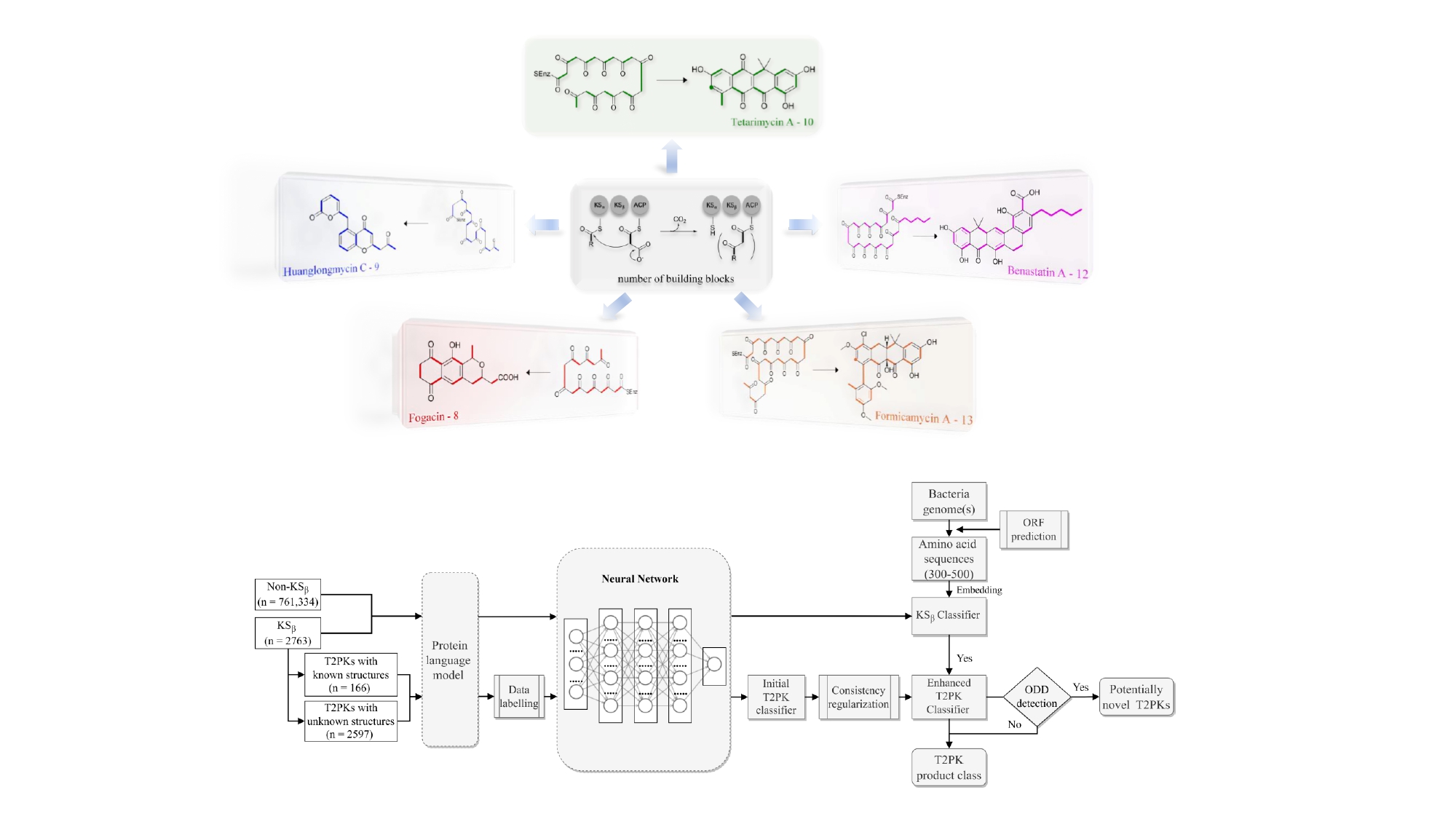 GitHub - Qinlab502/deept2: DeepT2 utilizes deep learning techniques to identify type II ...