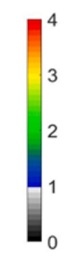 2 color bars in a scale · mtex-toolbox mtex · Discussion #1638 · GitHub