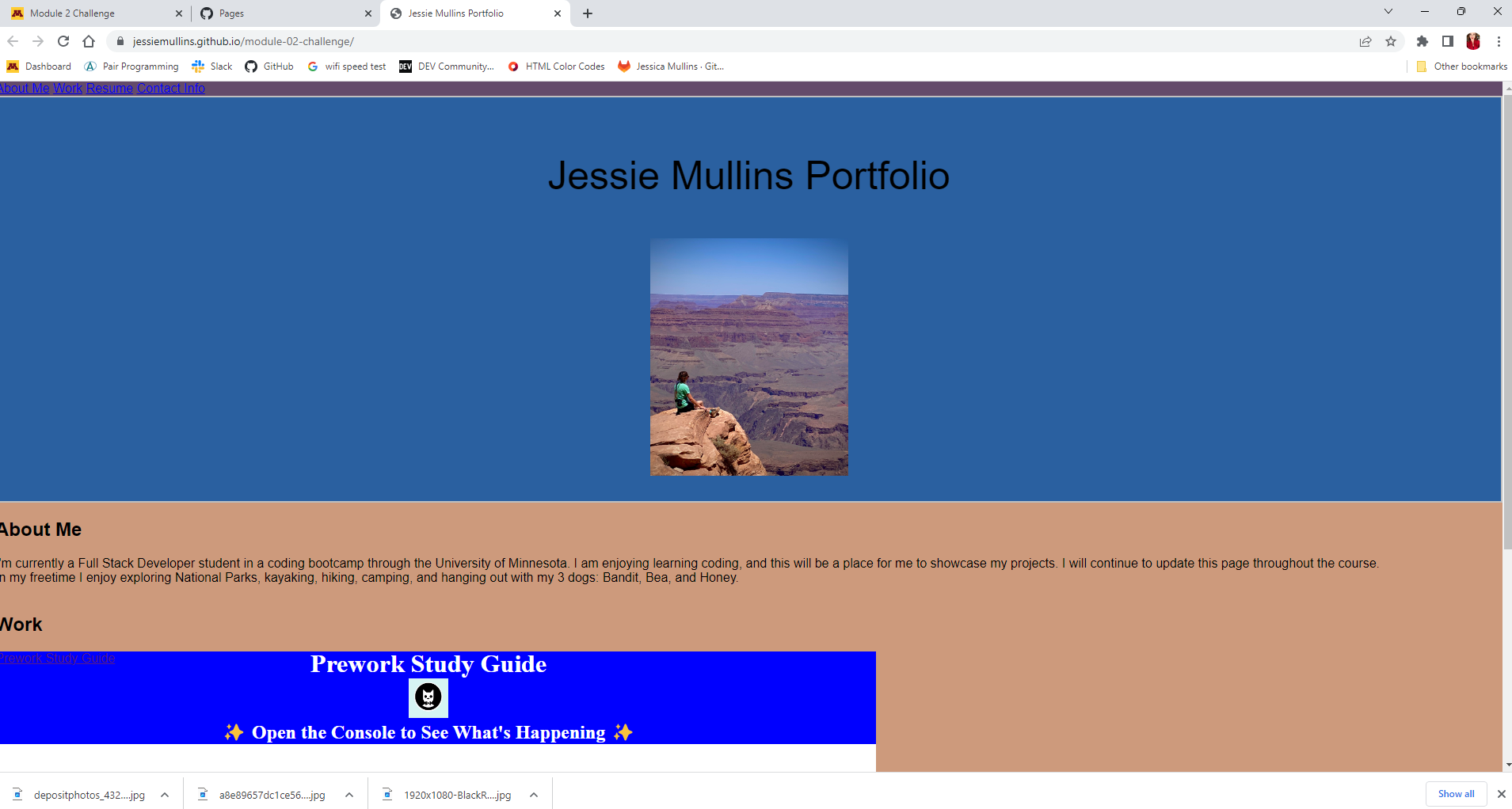 GitHub - jessiemullins/module-02-challenge: Module 02 challenge
