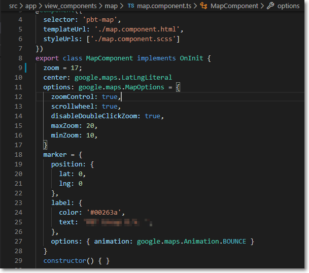 bug(Google Maps): Angular Universal/Server Side Rendering Support ...