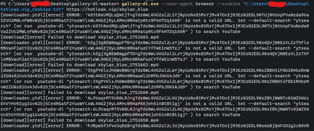Hotleak Error · Issue #3288 · mikf/gallery-dl · GitHub